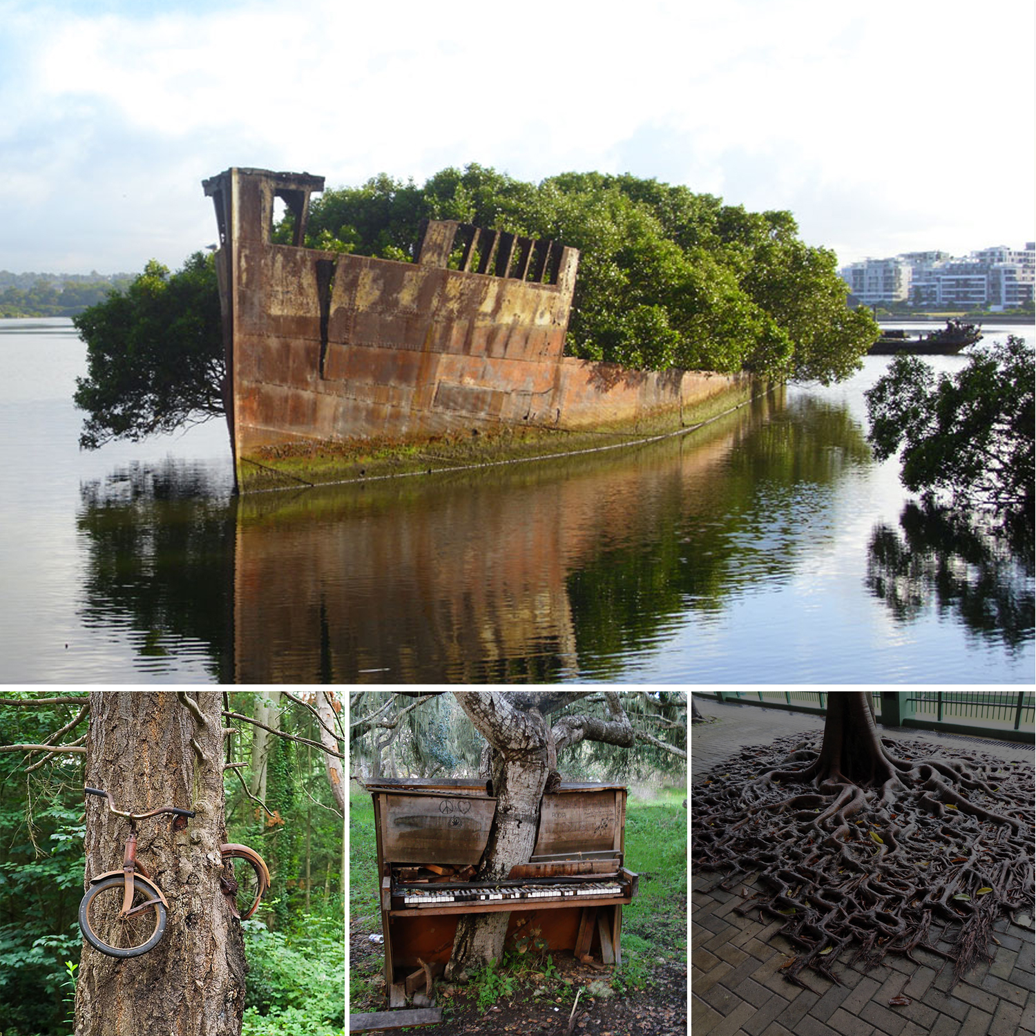 30 interesting photos show things got worn down over time. - Amazing Nature