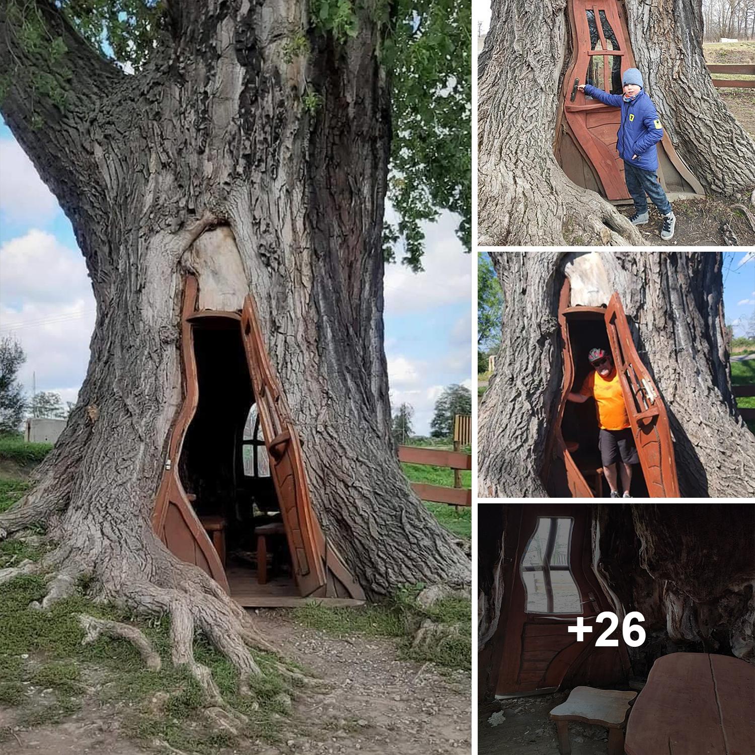 Explore the charming architecture of houses built from the trunks of ...