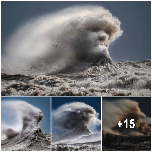 Nature photographer captures incredible image of a crashing wave that ...