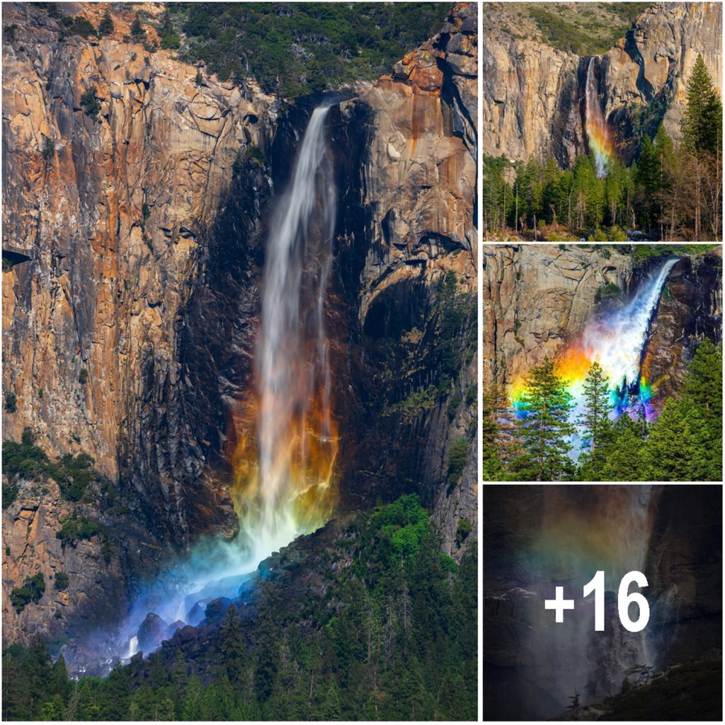 Photographer Captures Rare Rainbow Waterfall Phenomenon in Yosemite ...