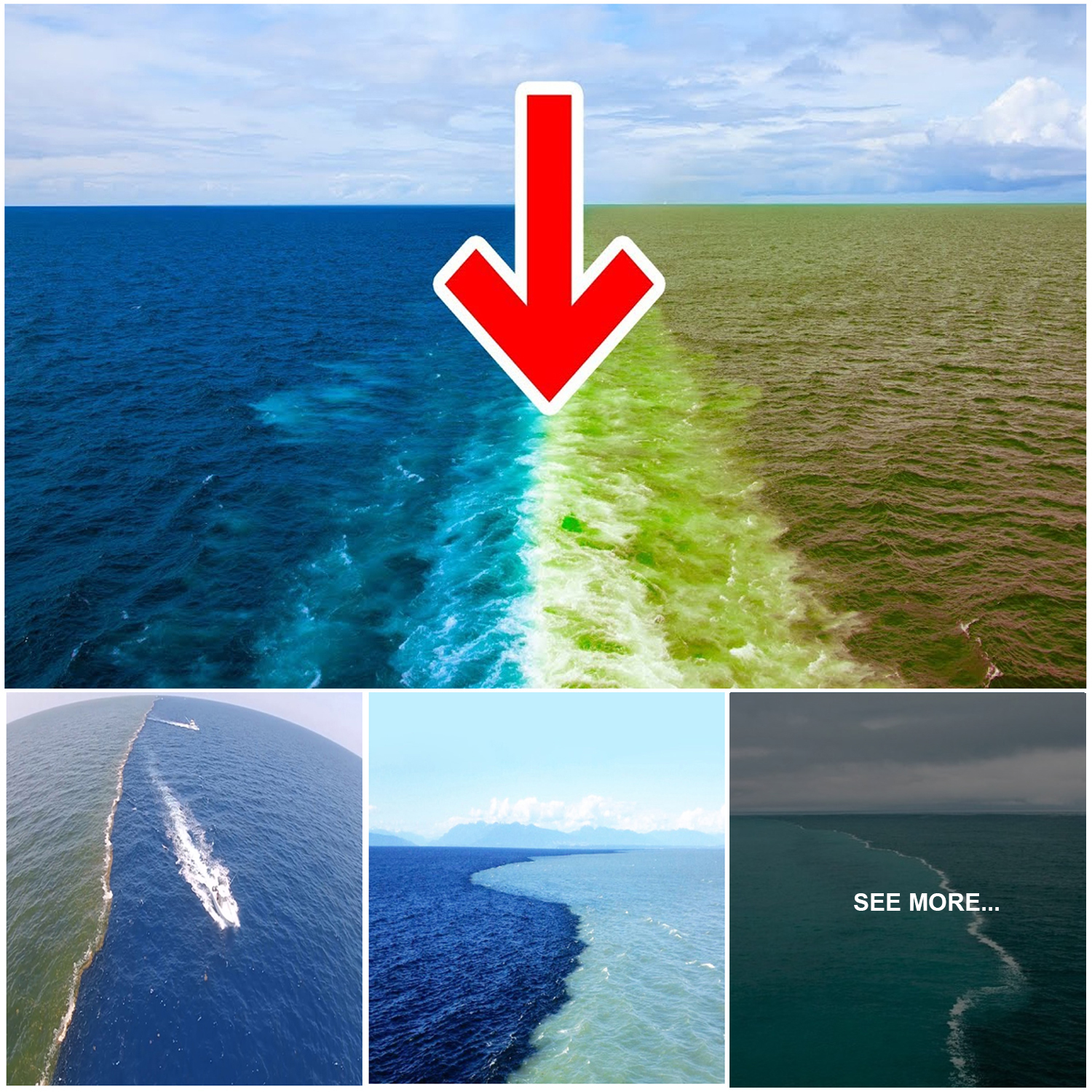 The Enigmatic Divide: Why the Atlantic and Pacific Oceans Don't Mix ...