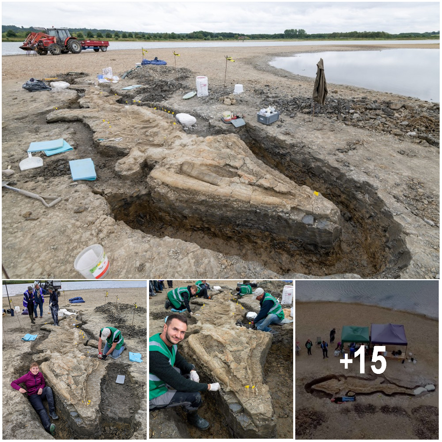 'Sea Dragon' Fossil, 180 Million Years Old, Discovered In UK Reservoir ...